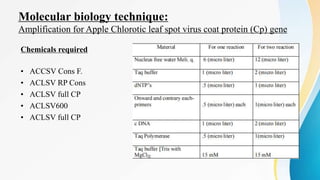 Basic Techniques used in identification of Plant Viruses.pptx