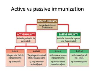 Basic terminologies vaccines | PPTX