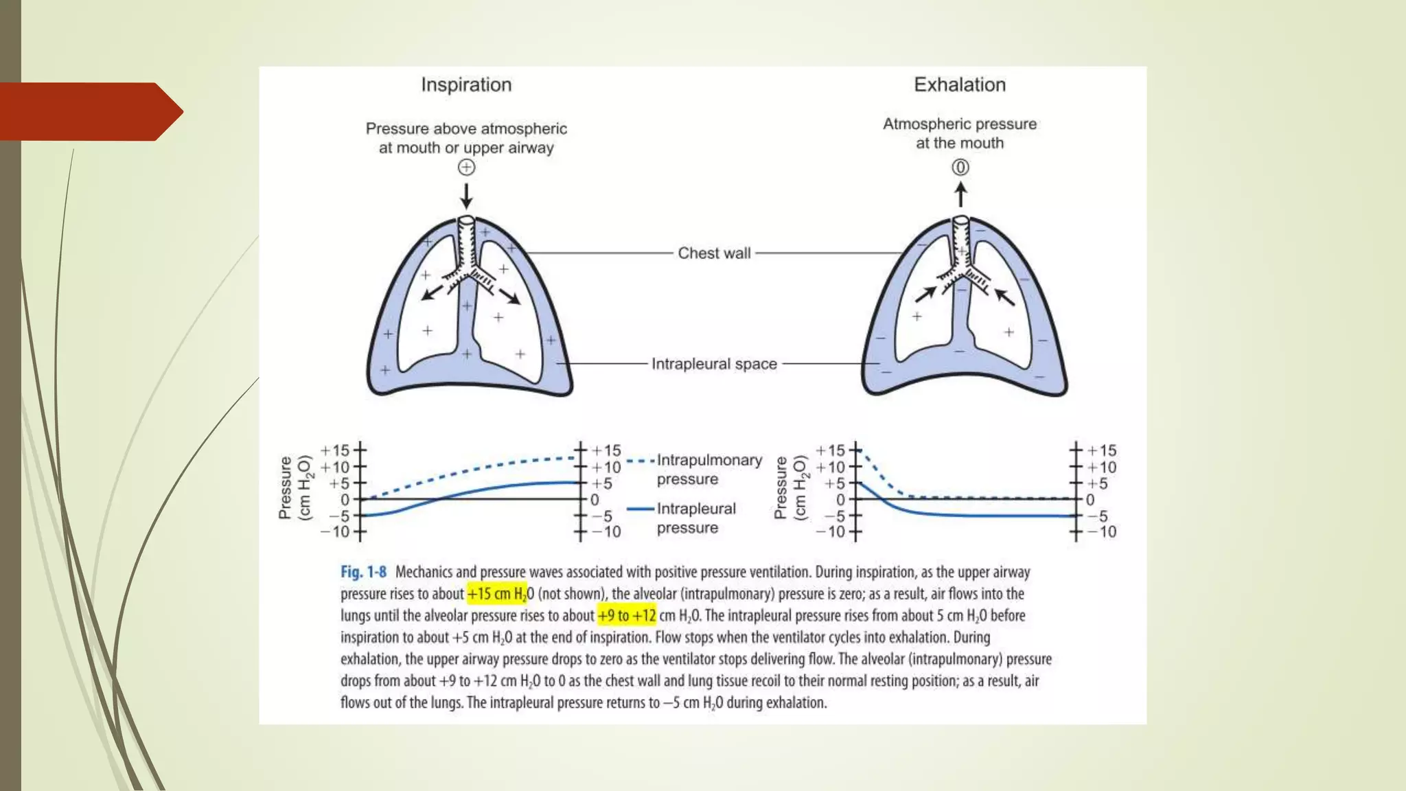 Basic terms and concepts of mechanical ventilation | PPTX