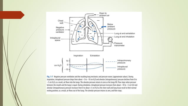 Basic terms and concepts of mechanical ventilation | PPTX | Lung and Respiratory Health ...