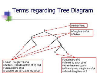 Basic terms of tree diagram | PPTX
