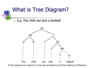 Basic terms of tree diagram | PPT