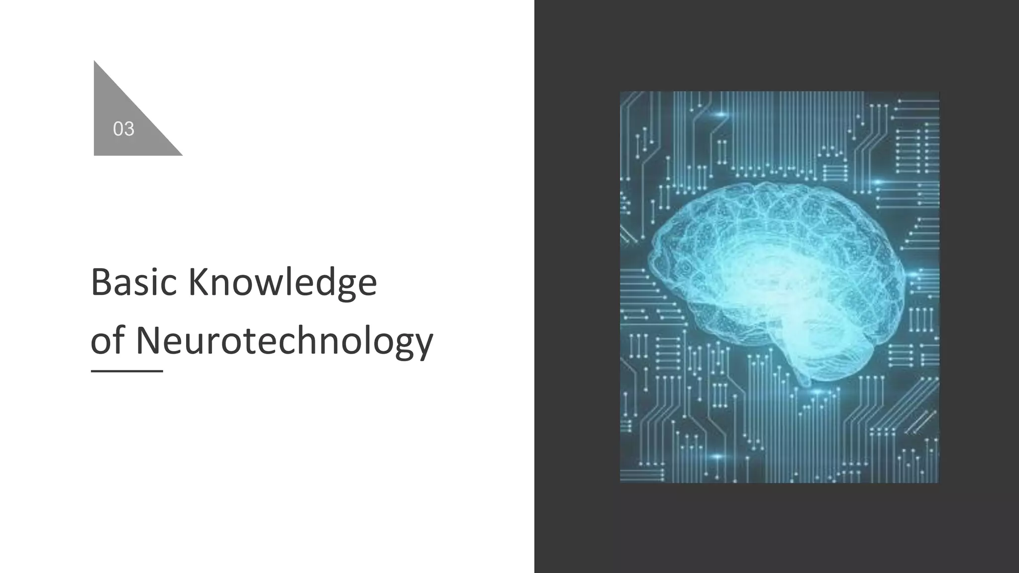 Basic Theories of Neurotechnology | PPTX