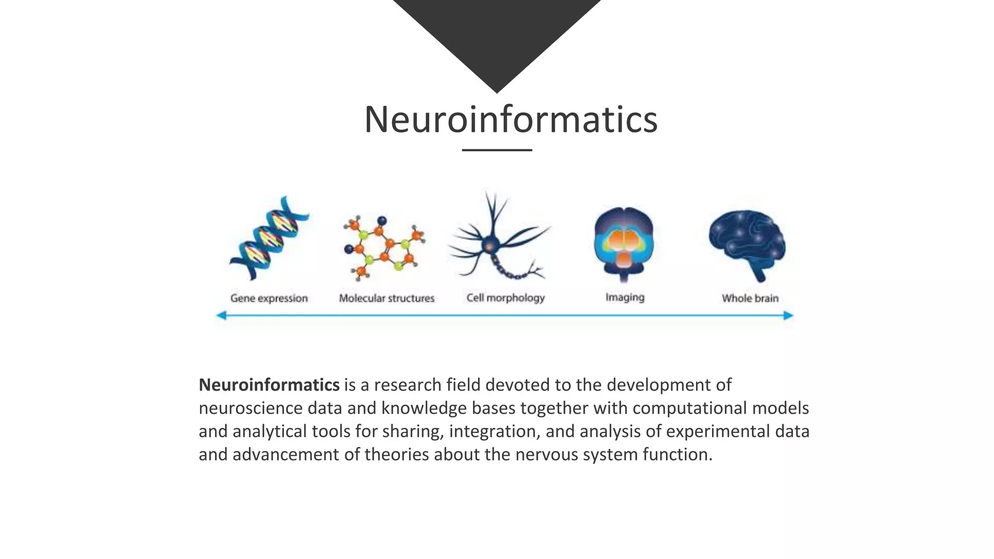Basic Theories of Neurotechnology | PPTX