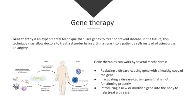 Basic Theories of Neurotechnology | PPTX