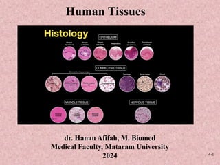 Basic histology tissues of human for medical students | PPTX