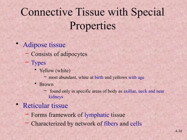 Basic histology tissues of human for medical students | PPT