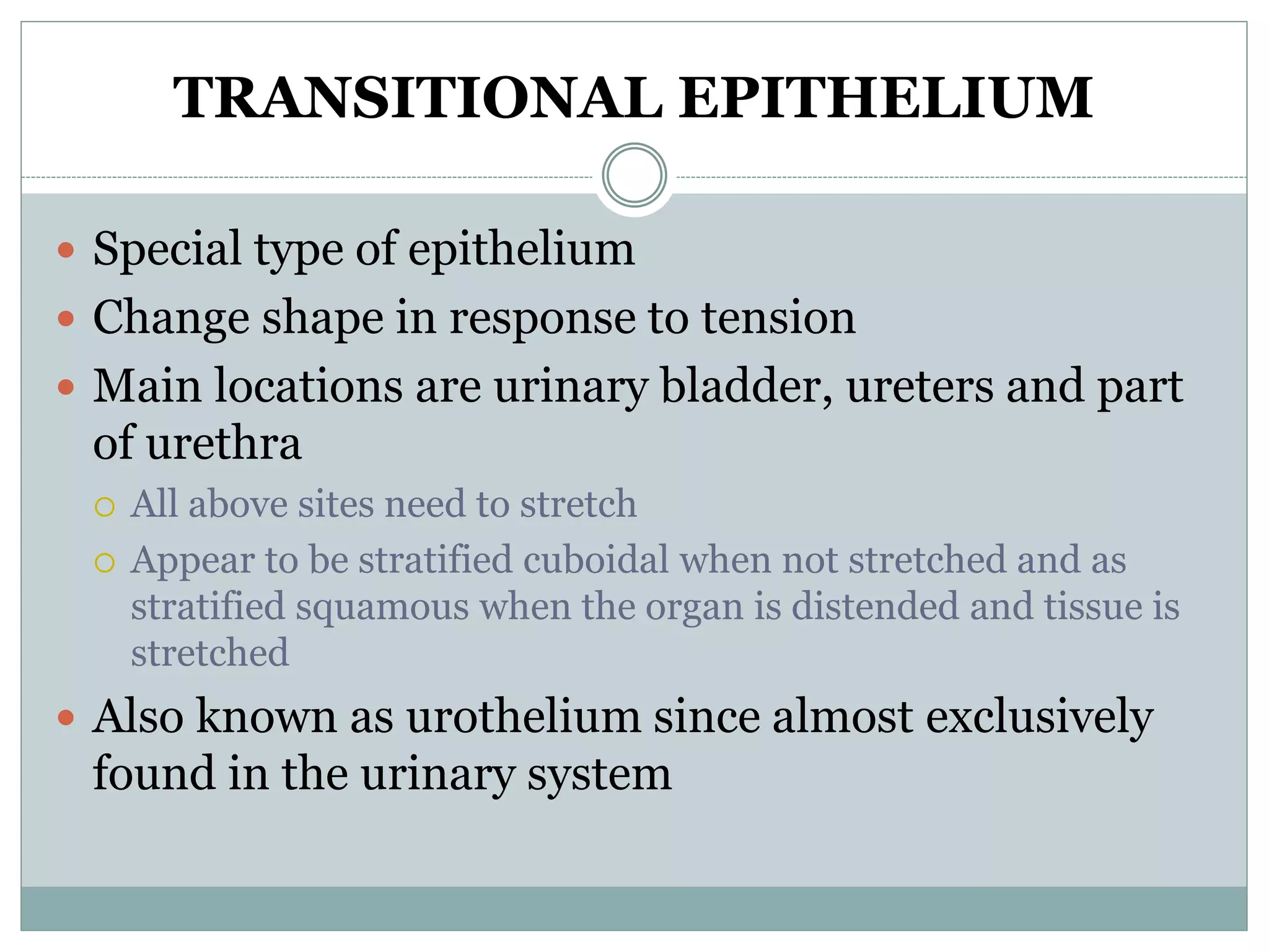 Basic Tissues 1.pptx