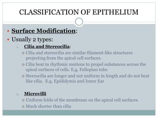 Basic Tissues 1.pptx