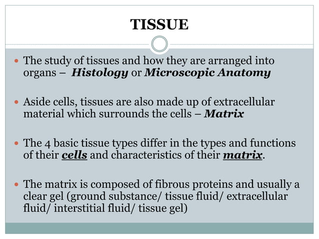 Basic Tissues 1.pptx