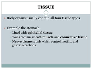 Basic Tissues 1.pptx