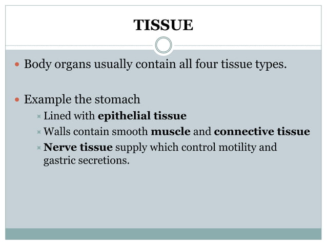 Basic Tissues 1.pptx