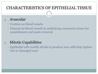 Basic Tissues 1.pptx
