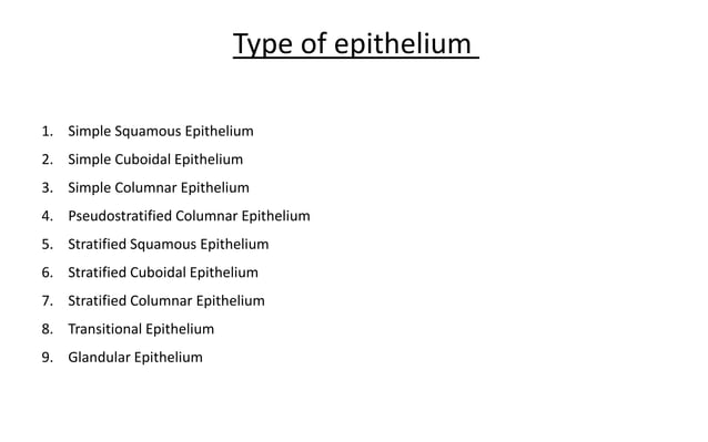 Basic tissue types 1( Epithelial tissue ) | PDF