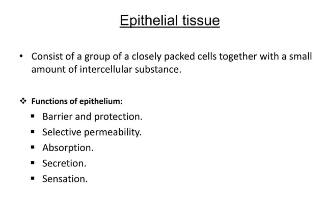 Basic tissue types 1( Epithelial tissue ) | PDF