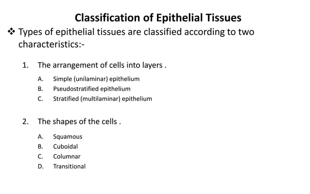 Basic tissue types 1( Epithelial tissue ) | PDF