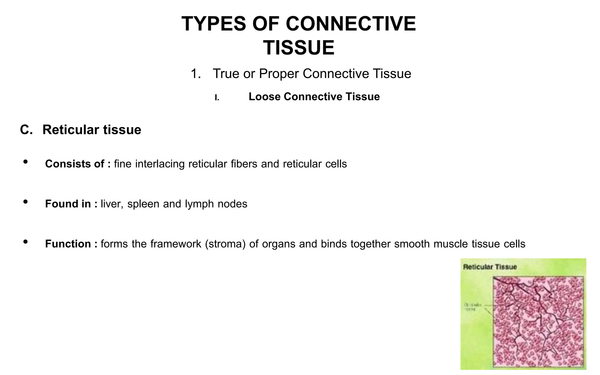 Basic tissue types (2)( Connective tissue ) | PDF