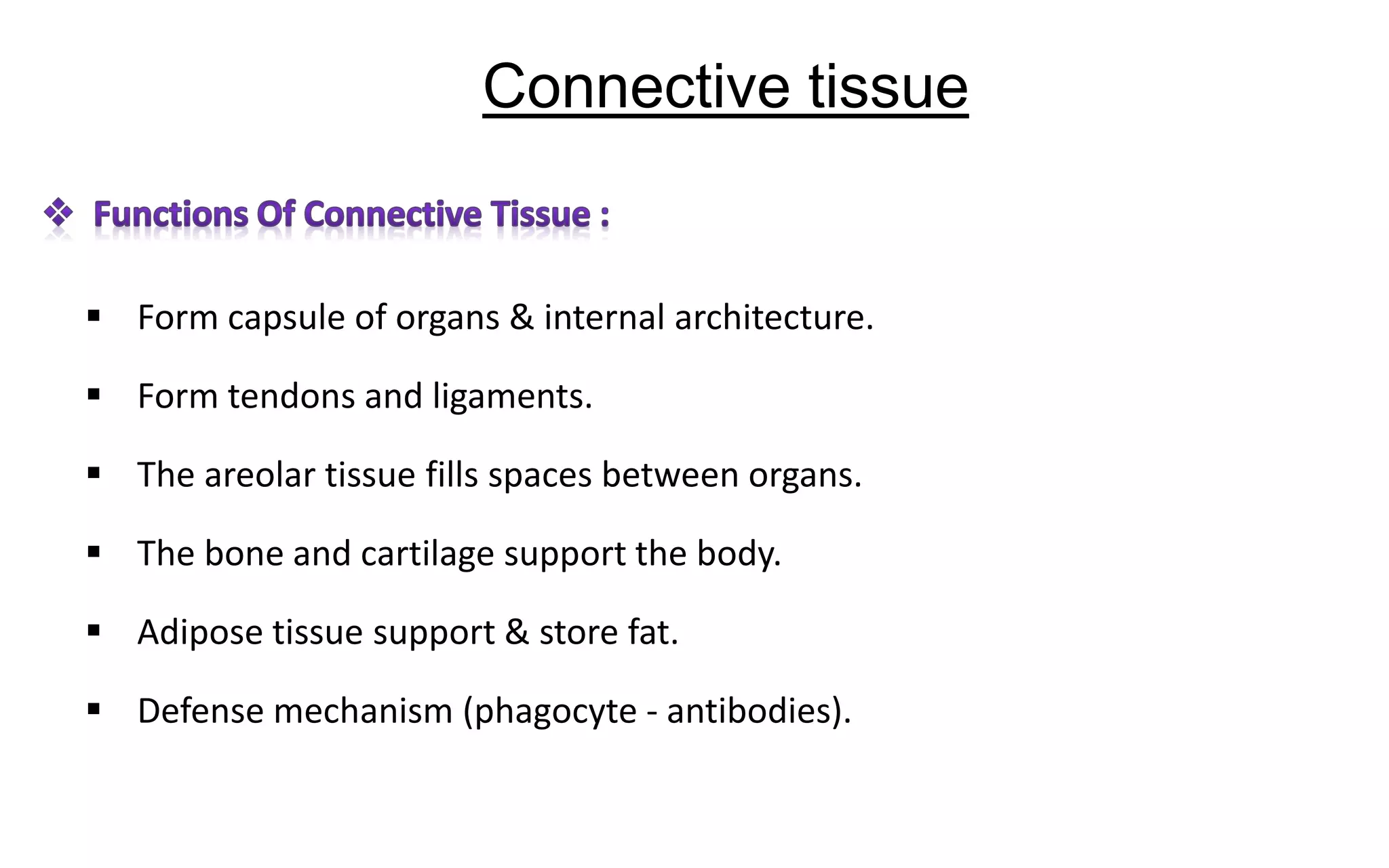 Basic tissue types (2)( Connective tissue ) | PDF