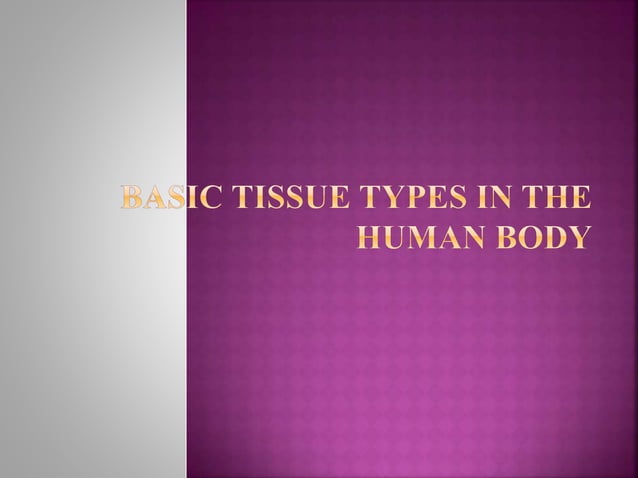 Basic tissue types in the human body | PPTX