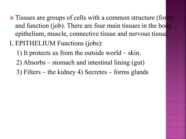 Basic tissue types in the human body | PPTX
