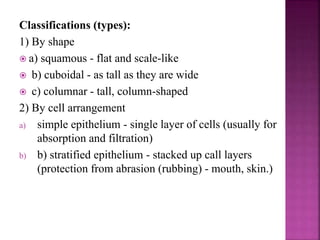 Basic tissue types in the human body | PPTX