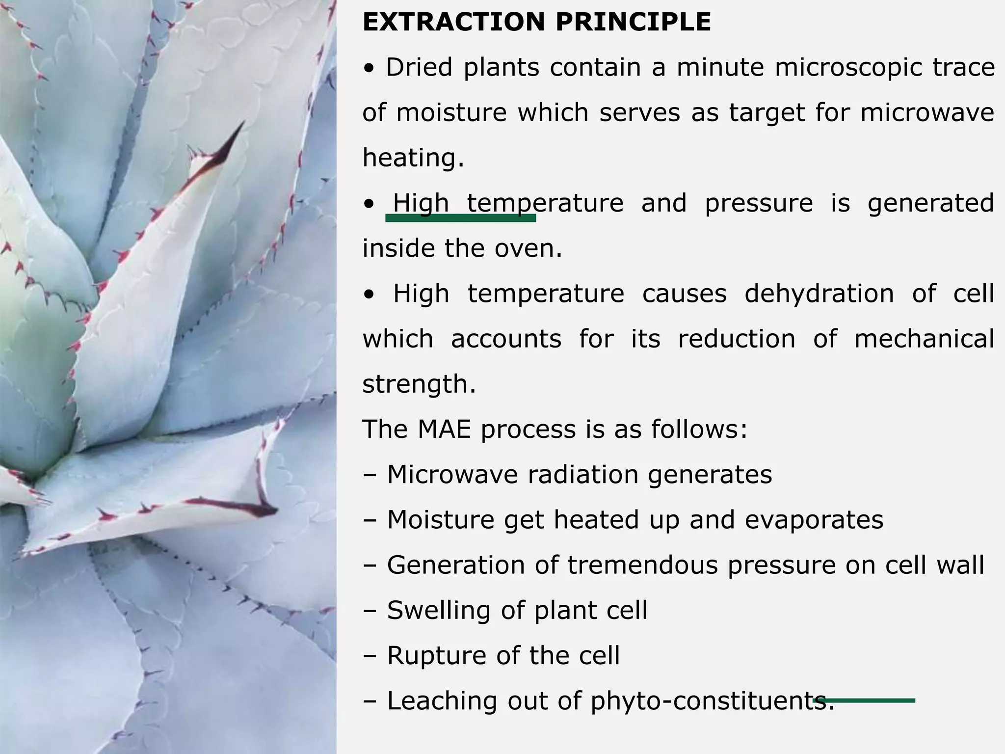 Basic to phytochemistry.pdf