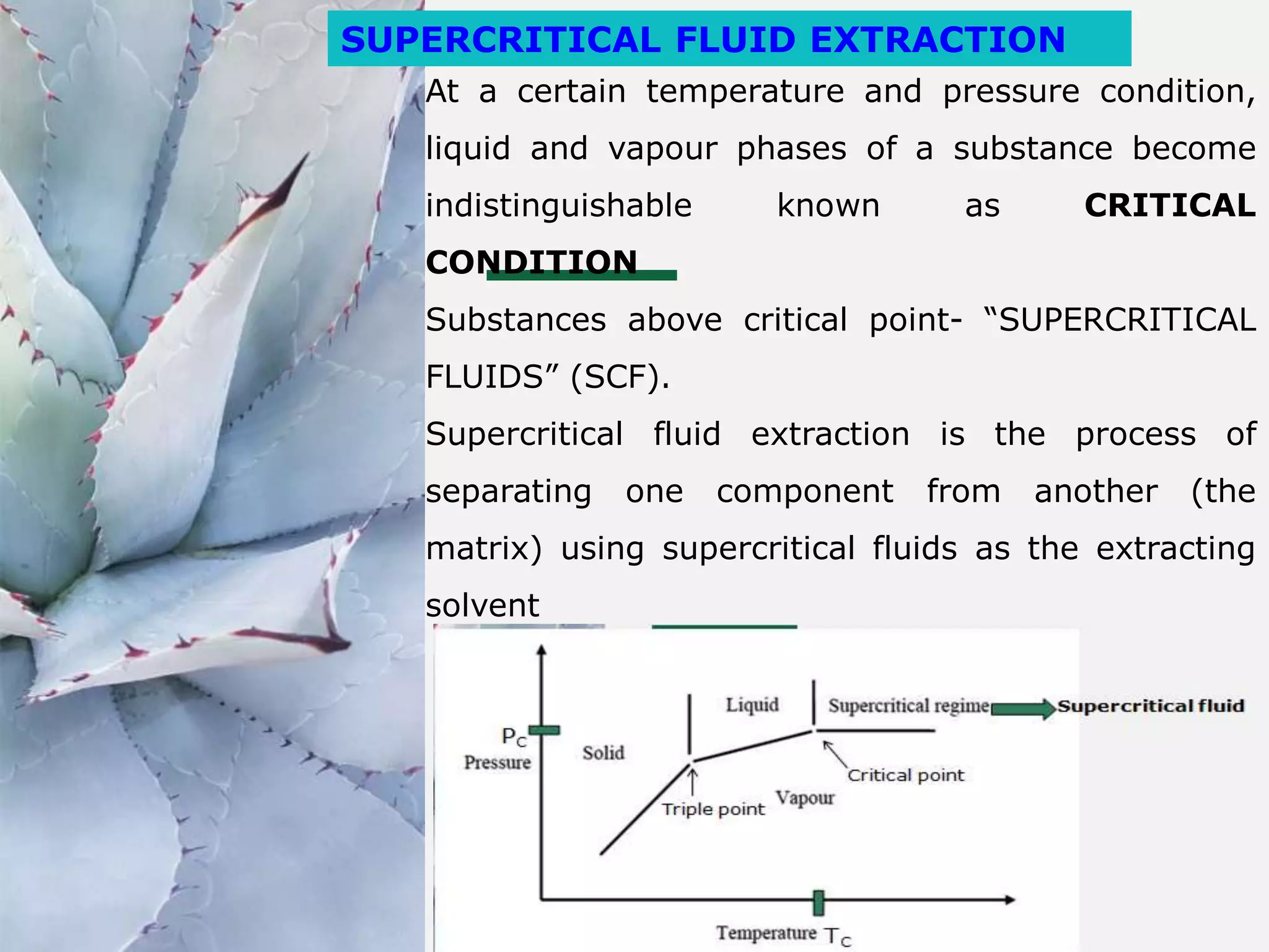 Basic to phytochemistry.pdf