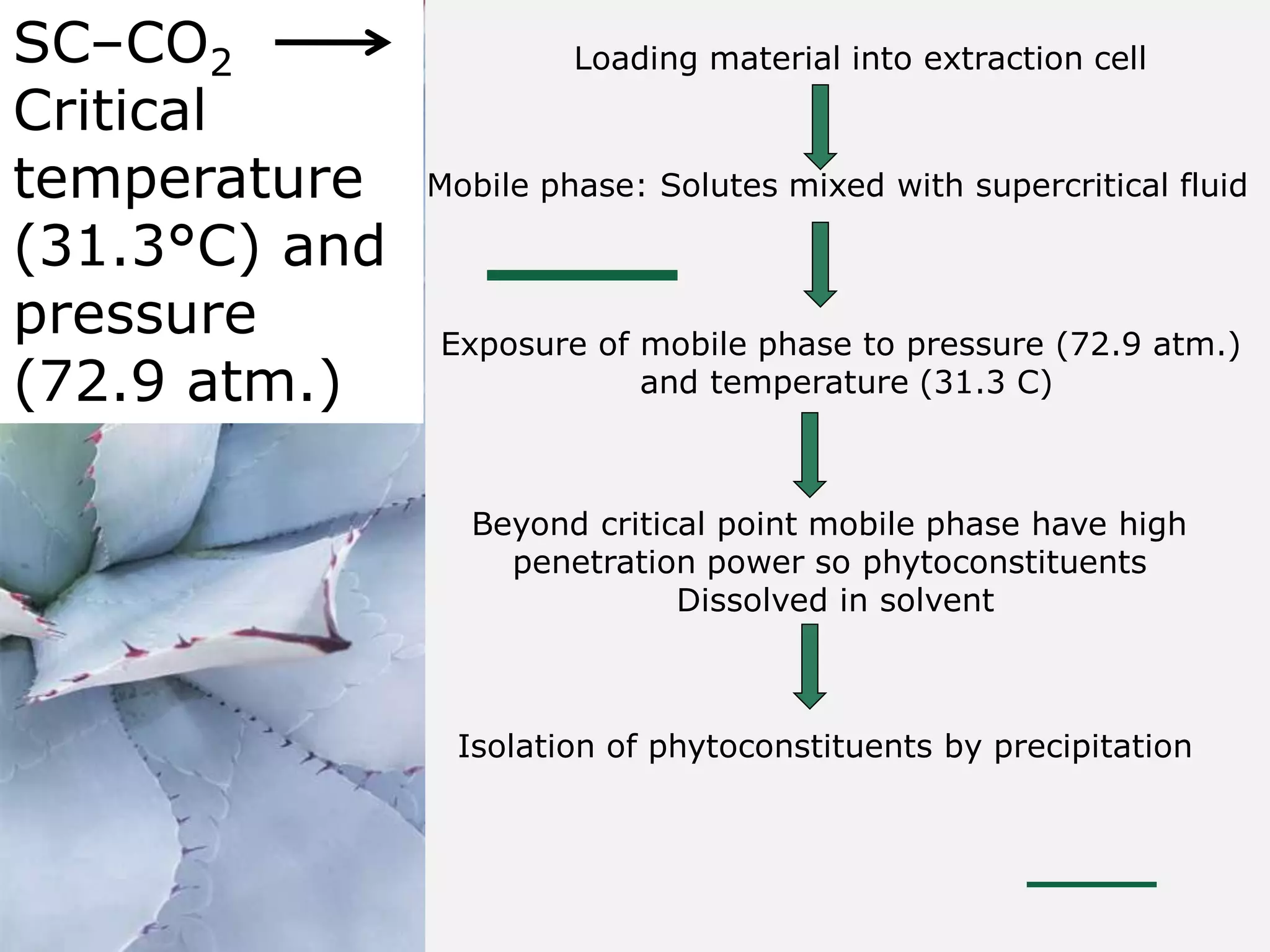 Basic to phytochemistry.pdf