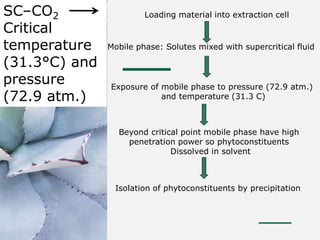 Basic to phytochemistry.pdf