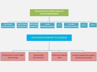 Basic to phytochemistry.pdf