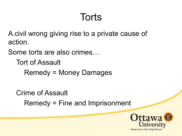 Basic Tort Concepts | PPTX | Law