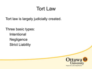 Basic Tort Concepts | PPTX