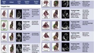 Basic transesophageal echo TEE anaesthesia | PPTX