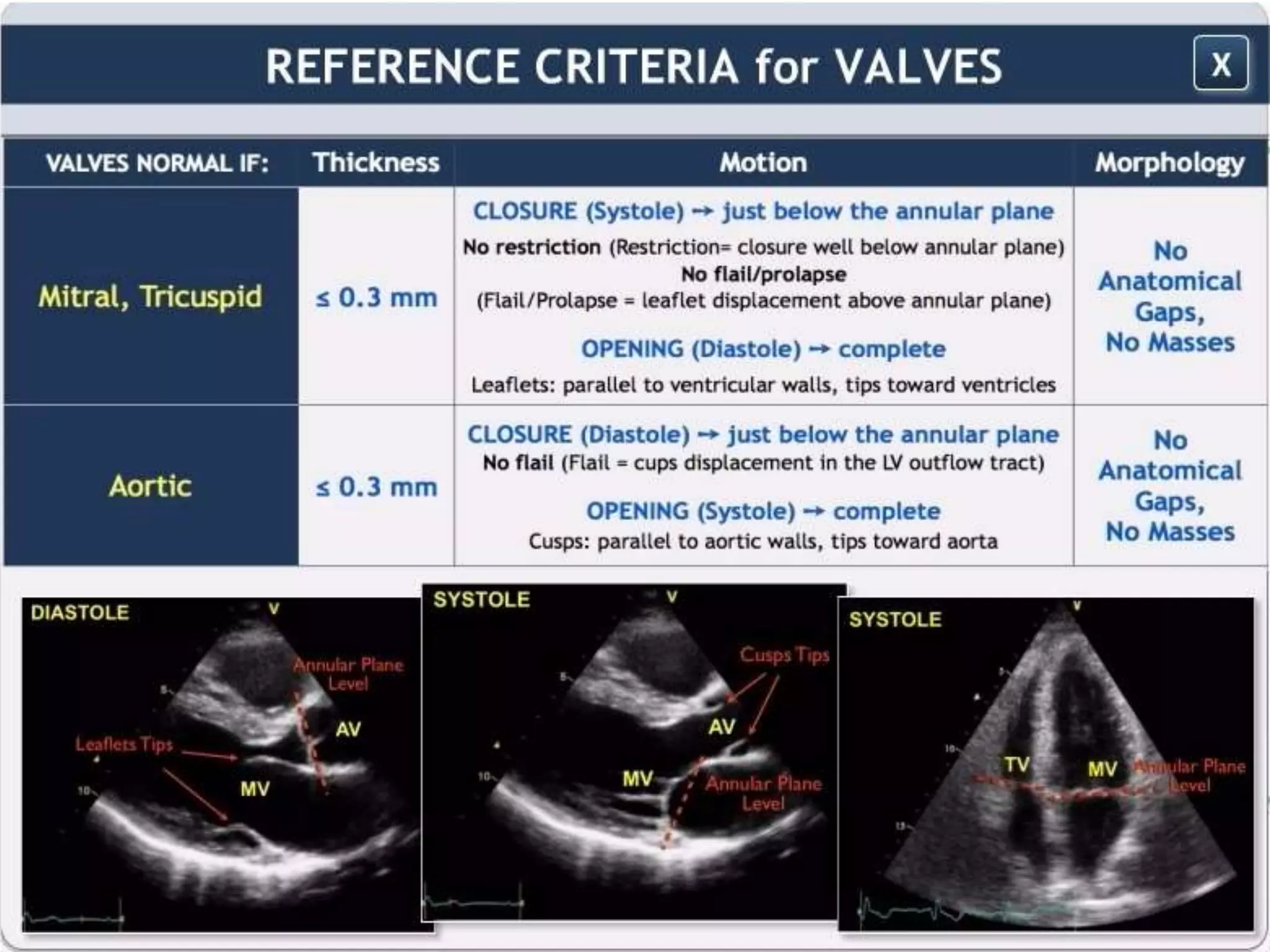 Basic ultrasound in icu | PPTX