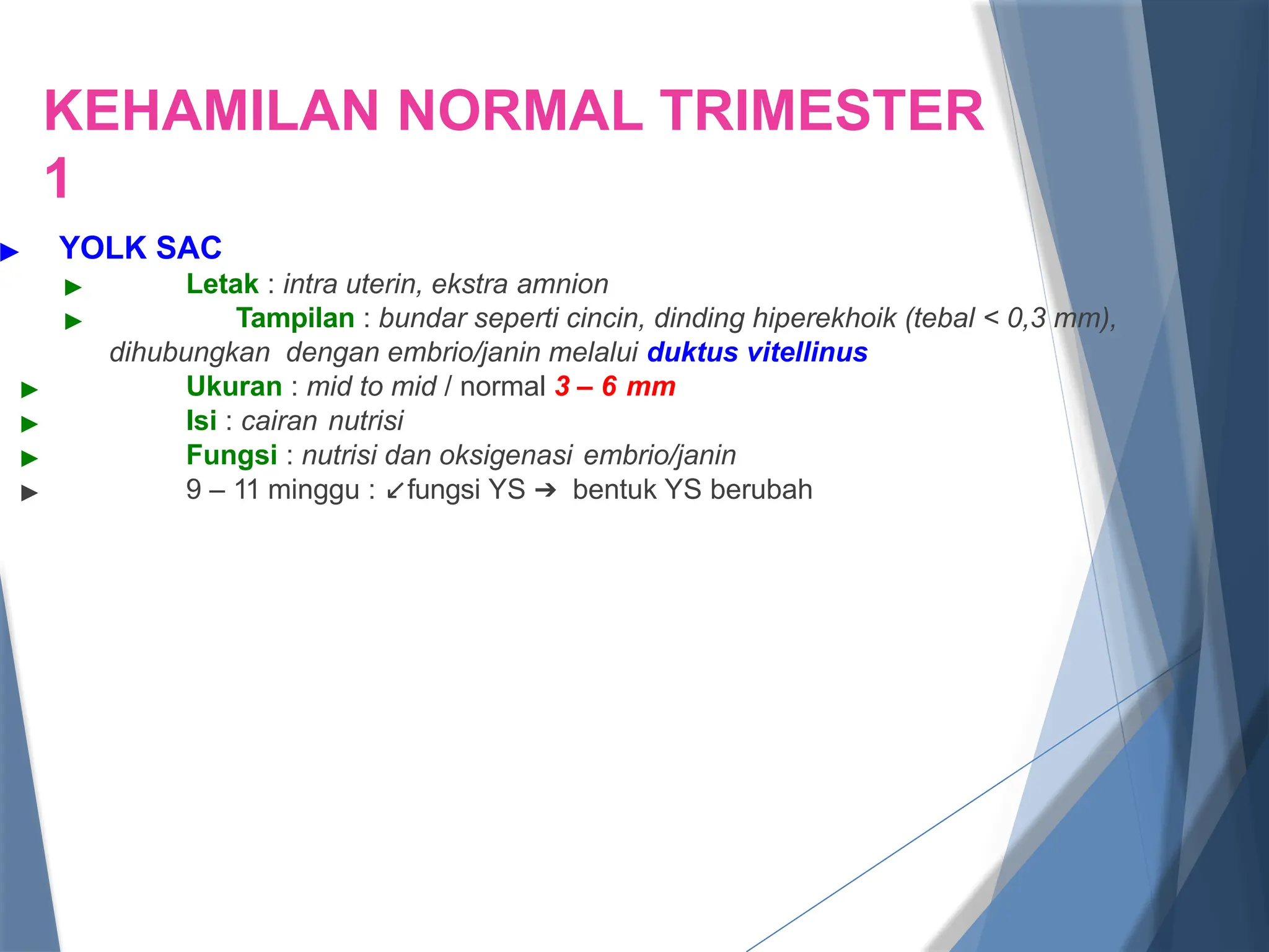 Basic USG Trimester Satu dan Abnormalitas | PPTX