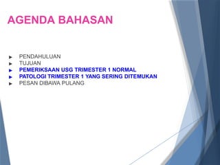 Basic USG Trimester Satu dan Abnormalitas | PPTX