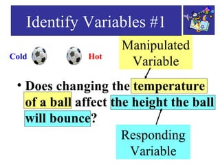 Basic variables ppt | PPT