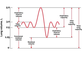 Basic Ventilator Setting NIV.pptx