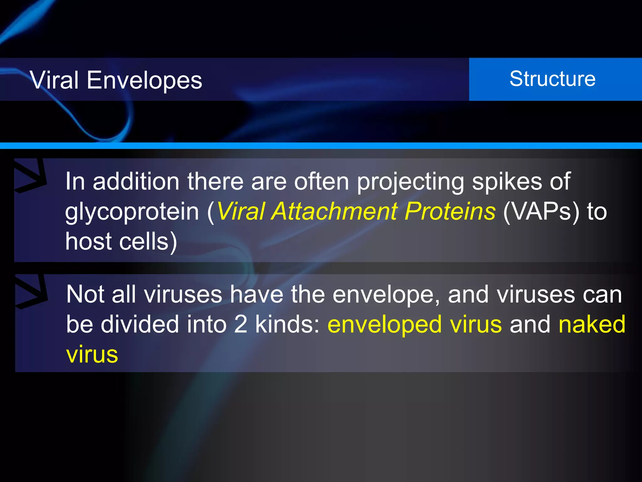Basic virology (a.3) | PPTX