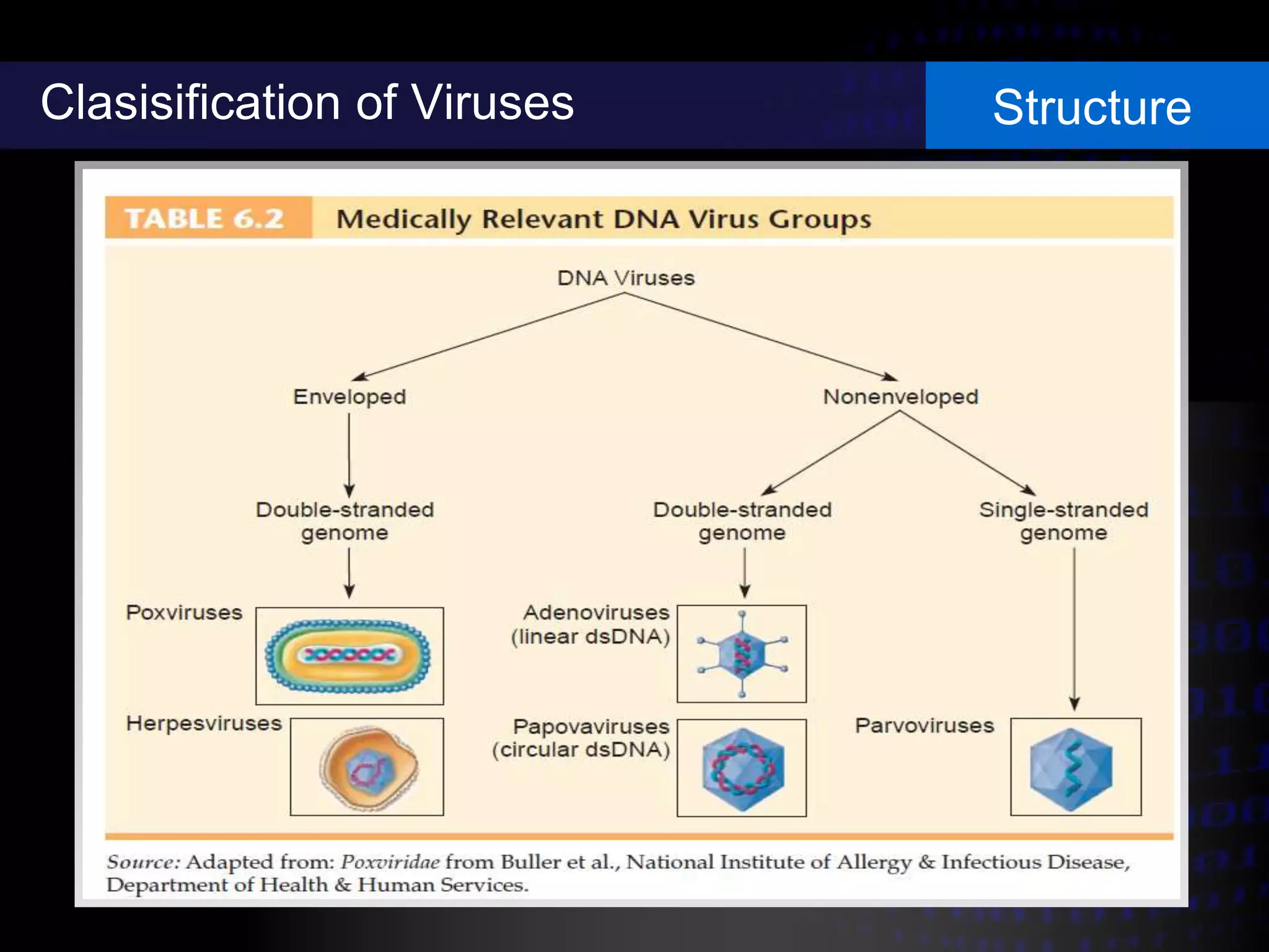 Basic virology (a.3) | PPTX