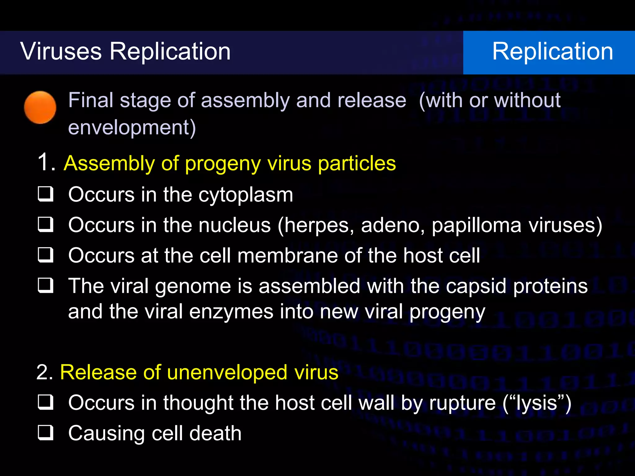 Basic virology (a.3) | PPTX