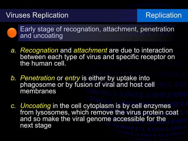 Basic virology (a.3) | PPTX | Biological Sciences | Science