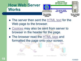 basic web concepts.ppt