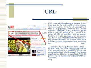 Basic web designing | PPT