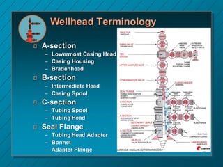 Basic_Wellhead_School__170272237. .pdf
