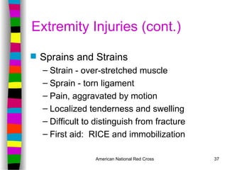 American Red Cross Wilderness First Aid Basics | PPT