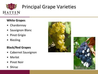 basic wine sharing Knowledge ( for common ) | PPT