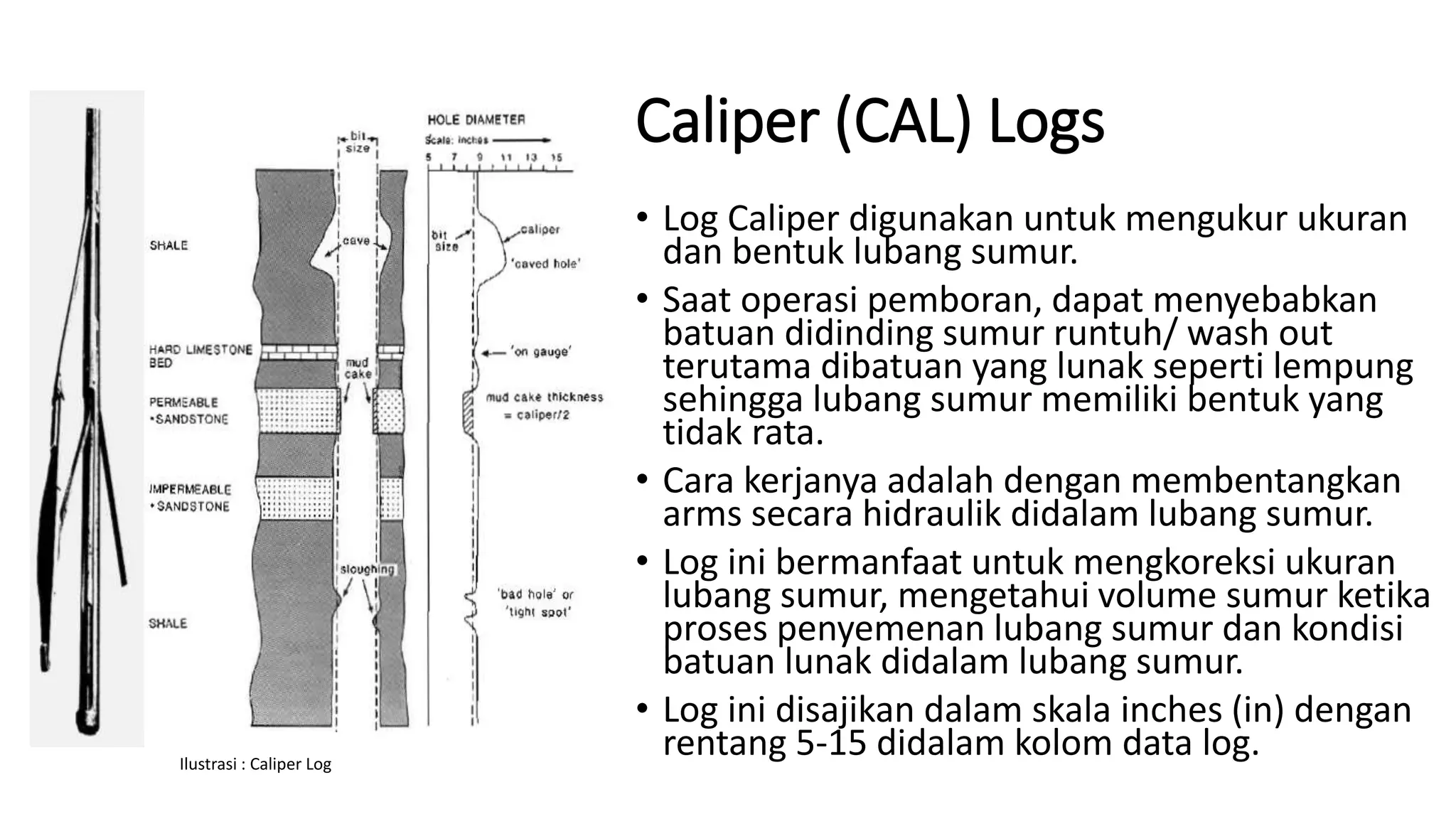 Basic Wireline Electrical and Well Log Analysist.pptx
