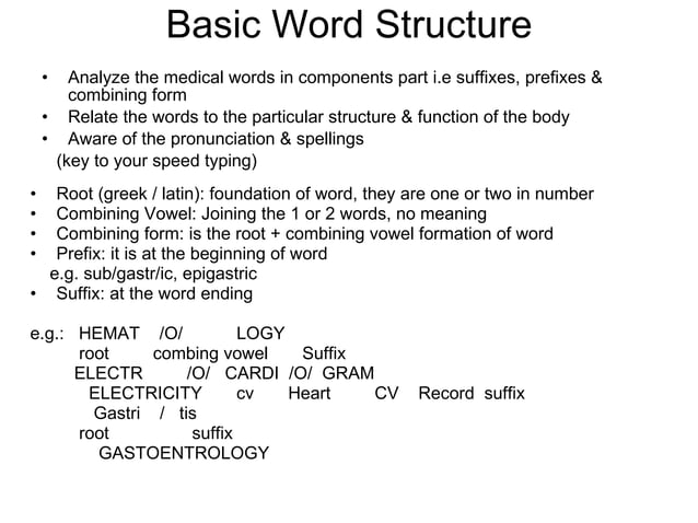 Basic Word Structure | PPT