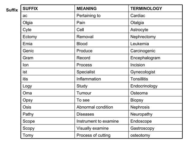 Basic Word Structure | PPT